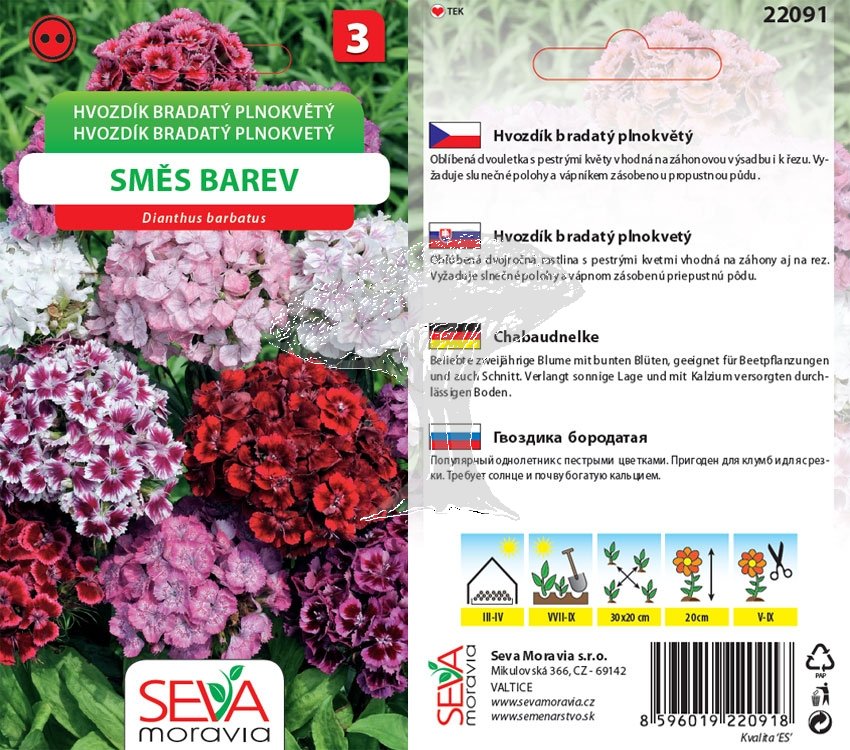 22091 Hvozdík bradatý plnokvětý 0,5g / 4404 :: Drago.cz