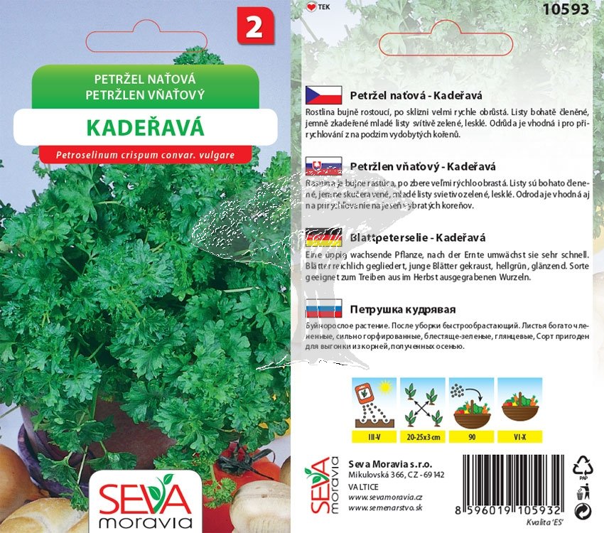 10593 Petržel naťová Kadeřavá 2g / 2411 :: Drago.cz