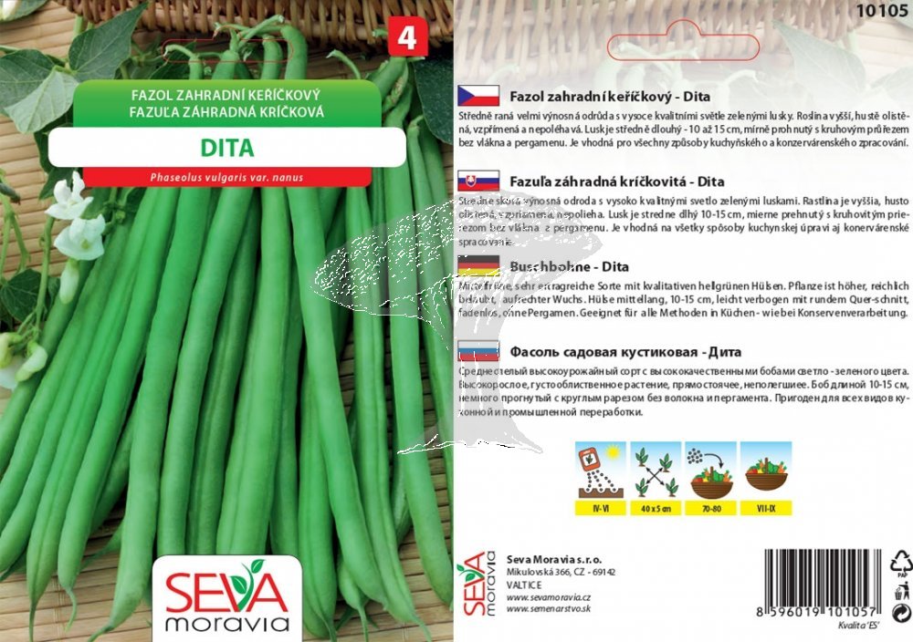 10105/x Fazol Dita 20g :: Drago.cz