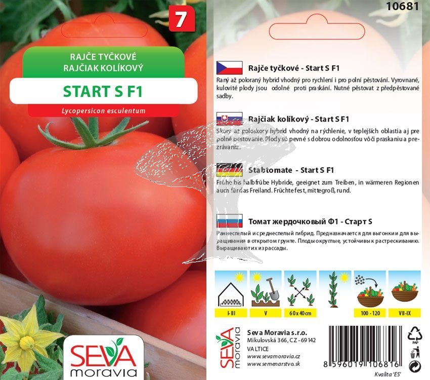 10681 Rajče F1 Start 0,15g / 2606 :: Drago.cz