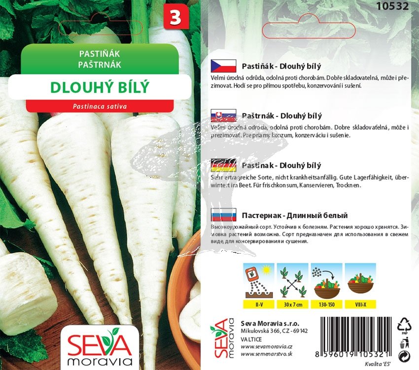 10532 Pastiňák Dlouhý bílý 3g / 2303 :: Drago.cz