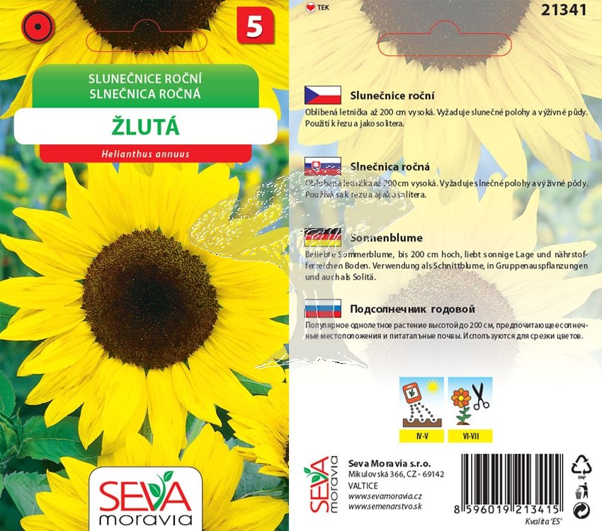 21341 Slunečnice ž. s tm. středem 1g / 4303 :: Drago.cz