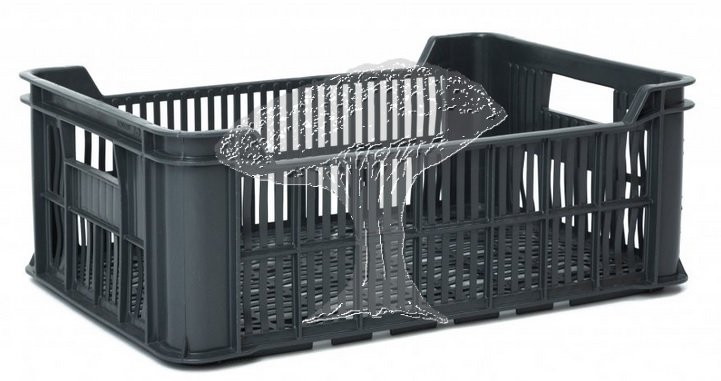 PE přepravka na ovoce (15kg) :: Drago.cz