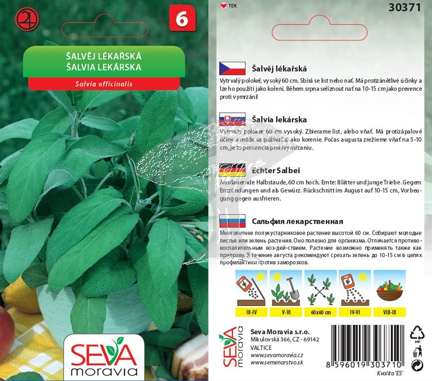 30371 Šalvěj lékařská 0,6g / 3703 :: Drago.cz