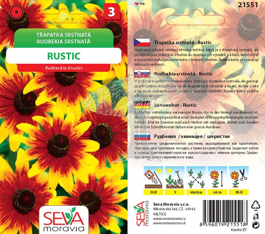 21551 Třapatka srstnatá Rustic 0,3g / 4310 :: Drago.cz