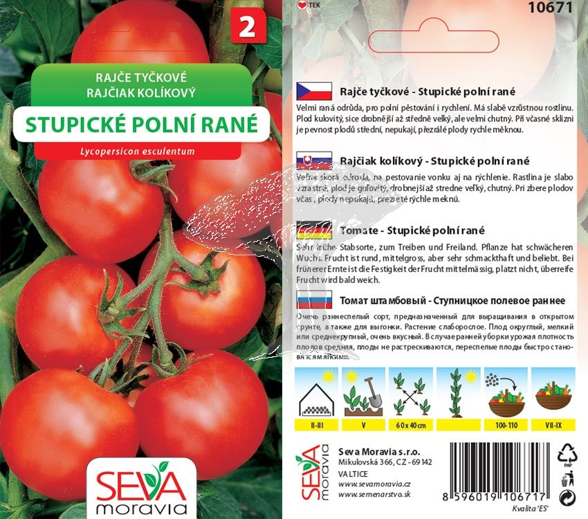 10671 Rajče Stupické polní rané 0,15g / 2511 :: Drago.cz